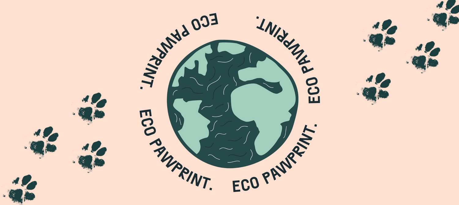TOP 10 WAYS TO REDUCE YOUR DOG'S ENVIRONMENTAL PAWPRINT – Pets Of The Earth