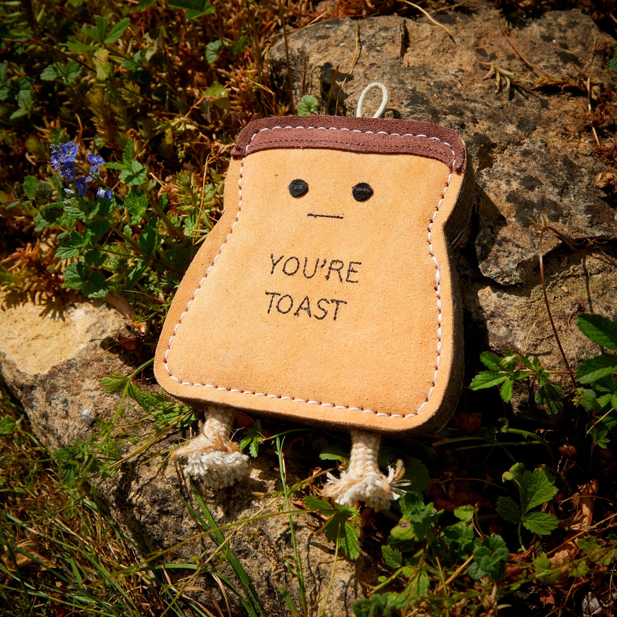 You're Toast Eco Dog Toy | Green & Wilds | Natural & Eco-Friendly ...