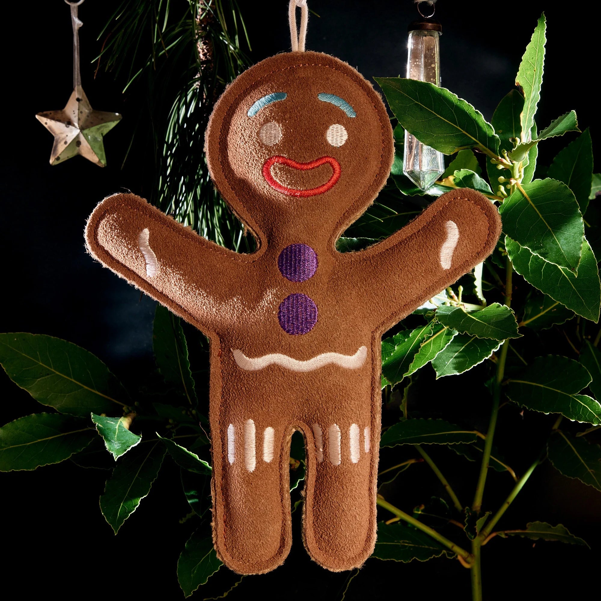 Jean Genie The Gingerbread Person Eco Dog Toy | Green & Wild's ...