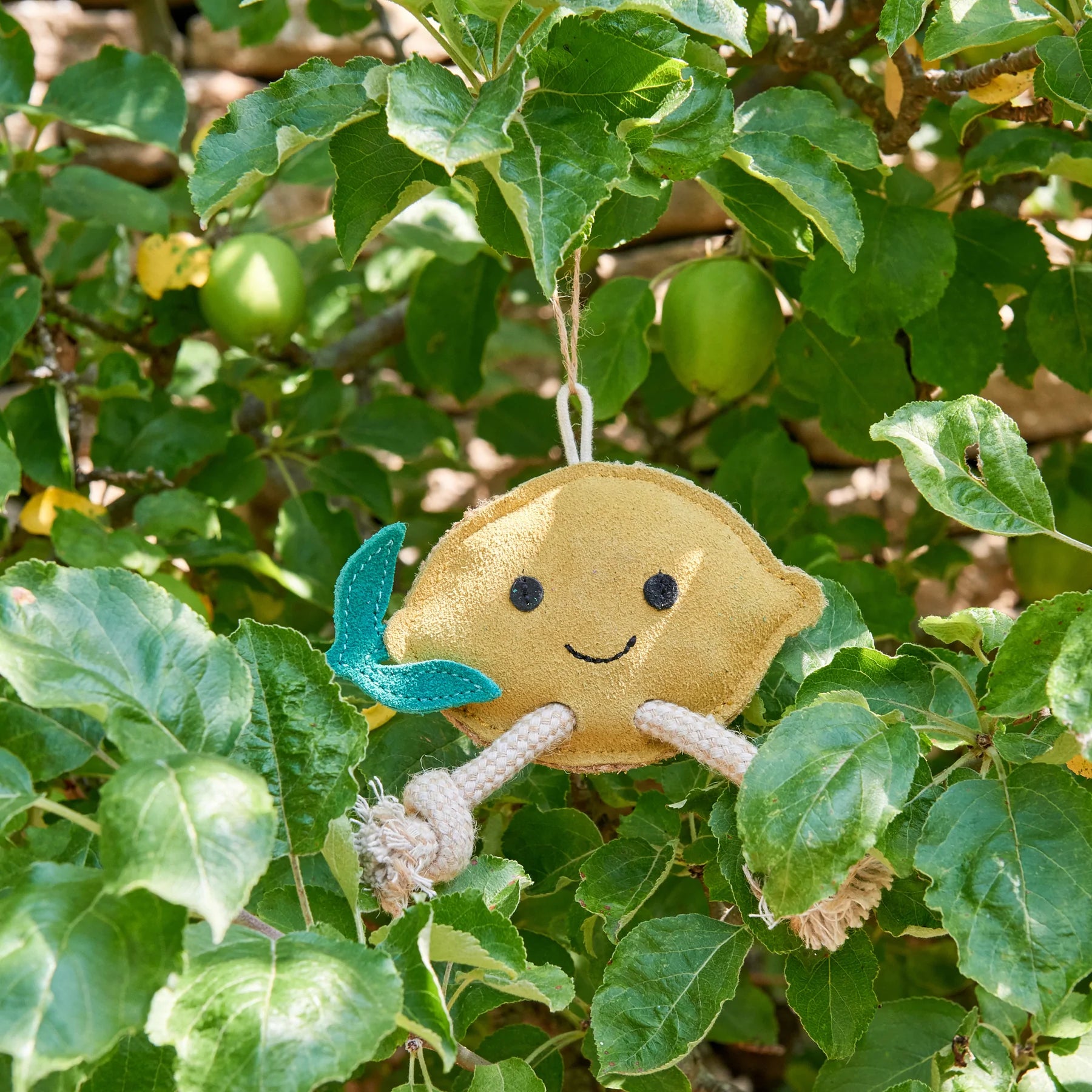Libby The Lemon Eco Cat & Dog Toy | Green & Wild's | Natural & Eco ...